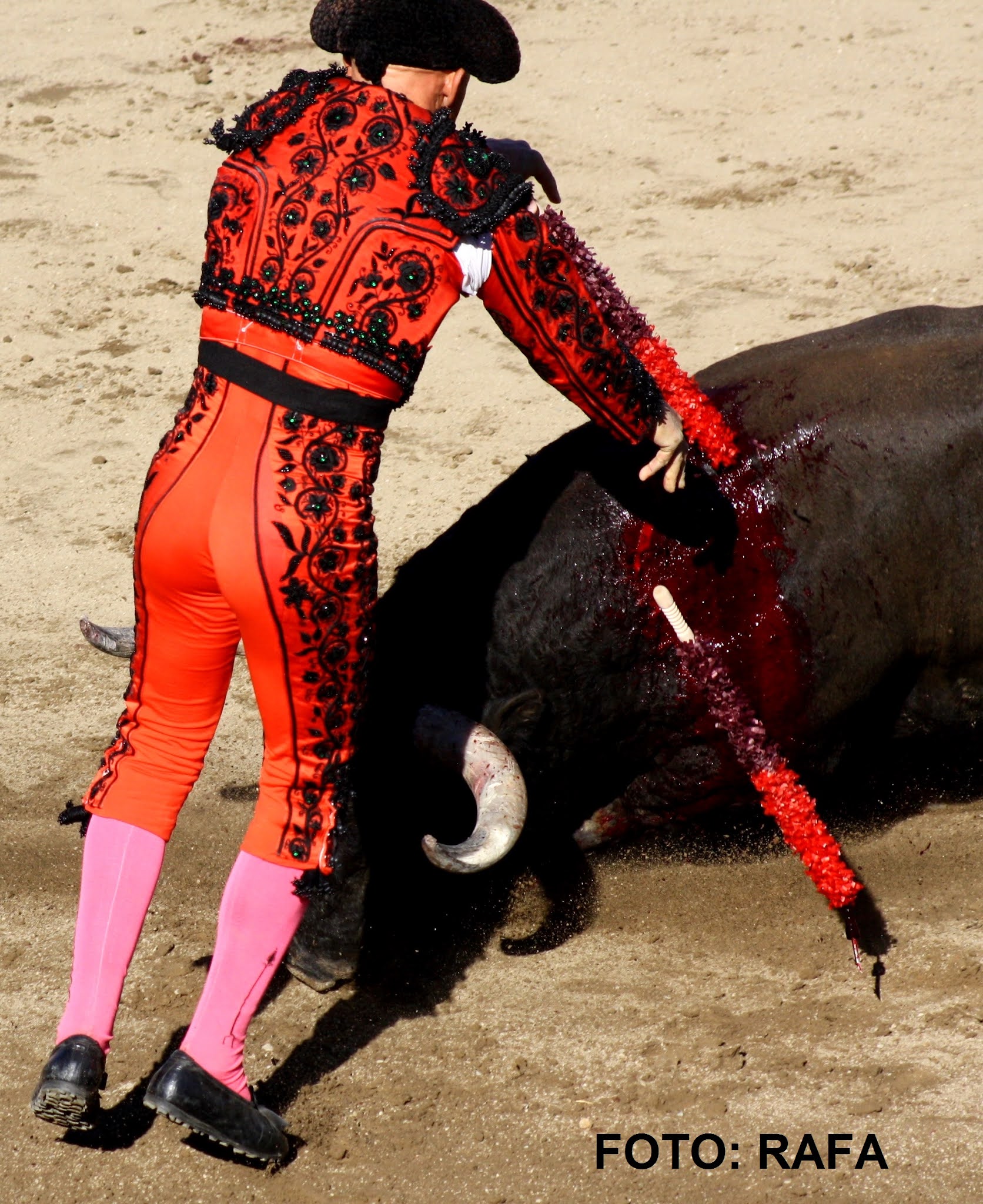 Toreo en Red Hondo: CÉRET DE TOROS, 2021 (7): RASO DE PORTILLO
