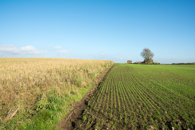 Agricultura De Secano