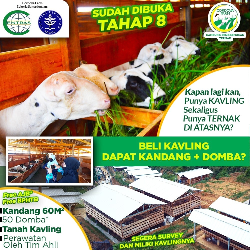 Cordova Farm Kavling Usaha Penggemukan Domba, di Cariu - Bogor Timur ...