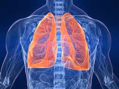 KAPTEPIA: ΝΕΑ "ΟΠΛΑ" ΚΑΤΑ ΤΟΥ ΚΑΡΚΙΝΟΥ ΤΟΥ ΠΝΕΥΜΟΝΑ