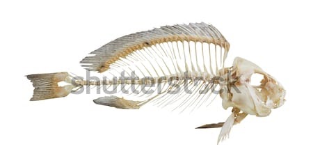 How to remove a Fish Bone struck in throat?