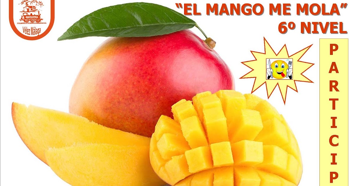 Educación Física en la Red: Concurso gastronómico "El mango me mola ...