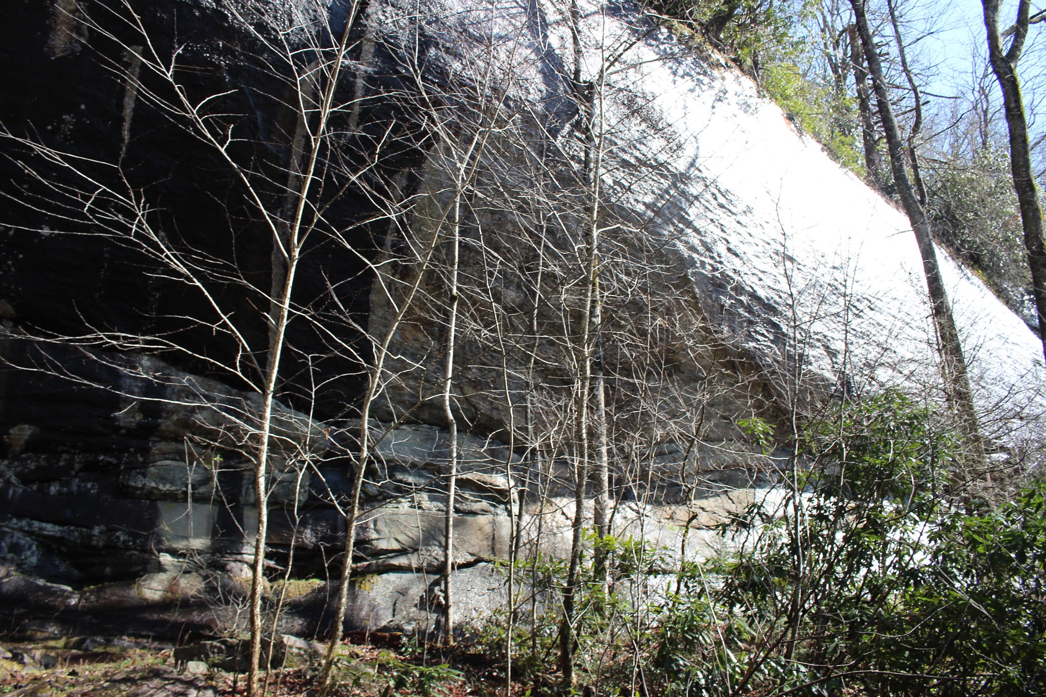 Cumberland Gal: Waterfall Keepers Trip #2: Lemon Falls, Logging Road ...
