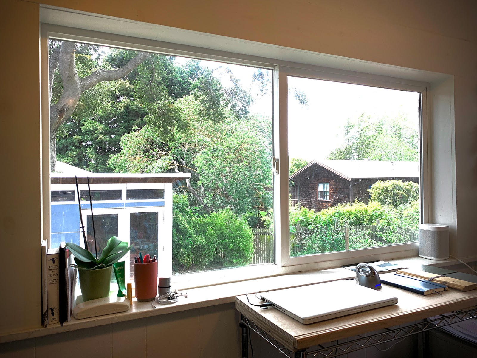 Siegel and Strain Architects: View from the rear [home office] window