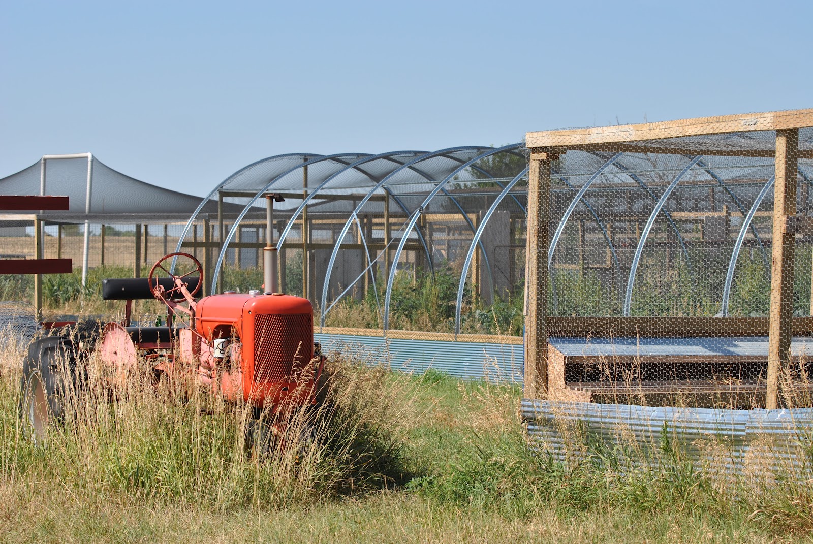 the Grabers: Bird farm