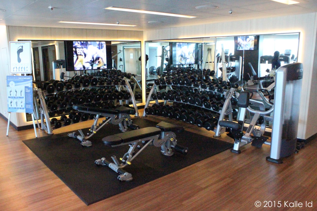 kships: Regal Princess interiors, 10 May 2015