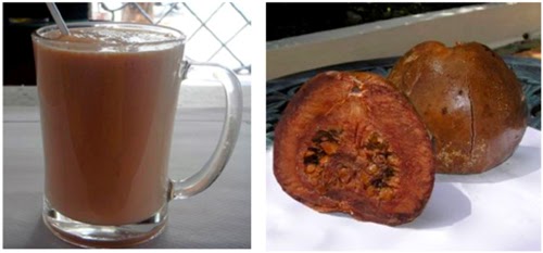 SABOREANDO A COLOMBIA: JUGO DE BOROJO O VIAGRA COLOMBIANO