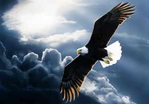 smart_ebook: Burung Rajawali