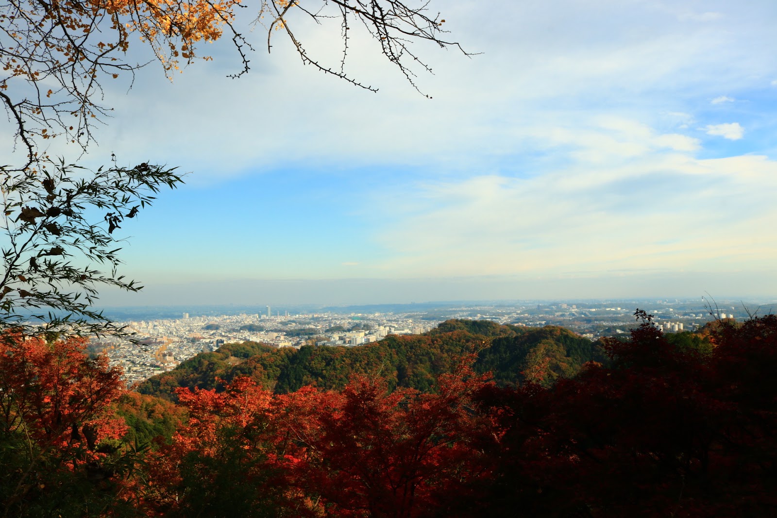 Inyaki's stroll: Takaosan