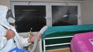 What is the fumigation and fogging?