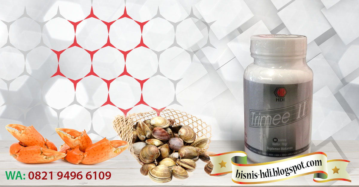 HDI Trimee II | Bisnis High Desert