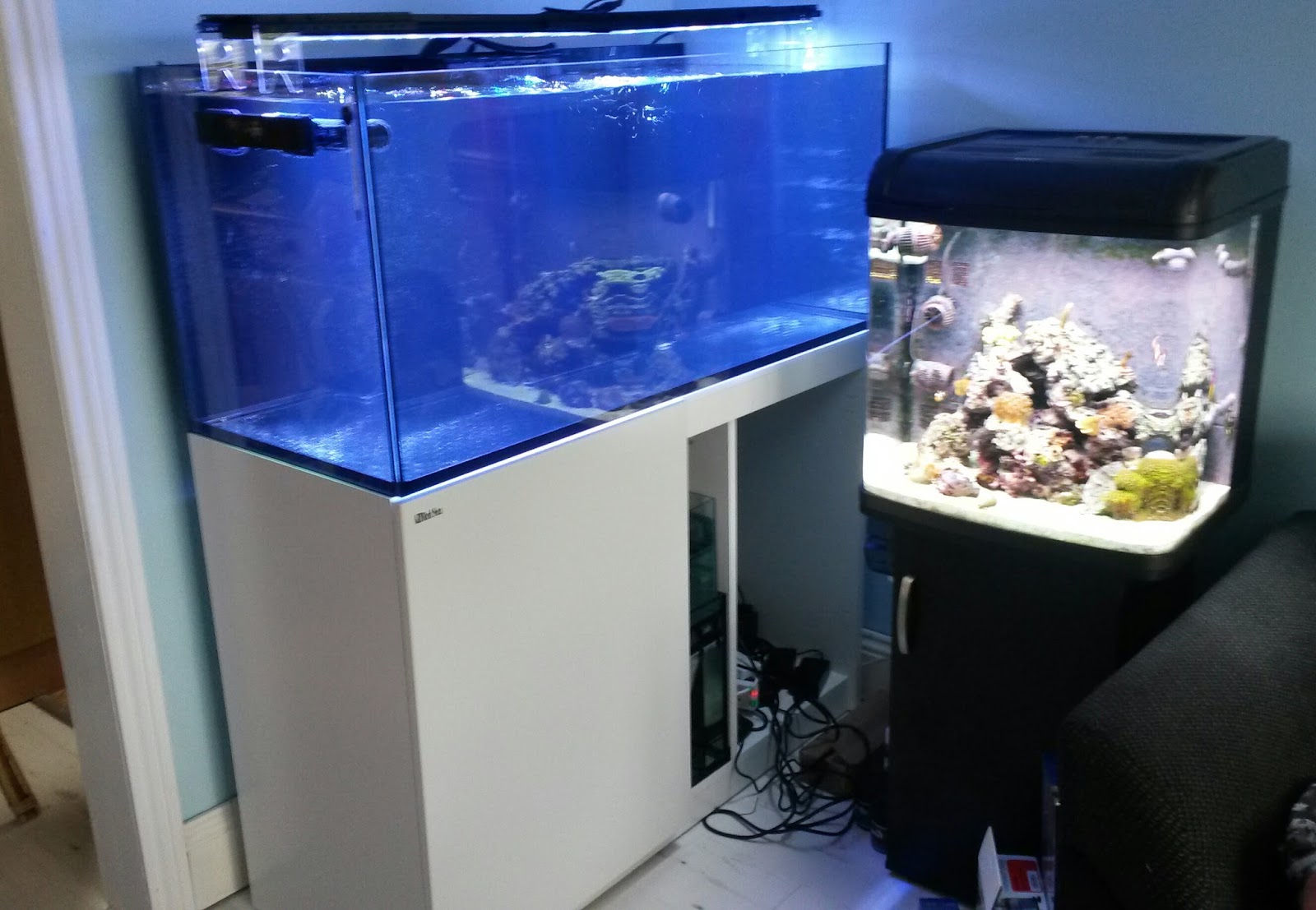 Kent Marine Bio Reef LED 94L Aquarium: My Thoughts