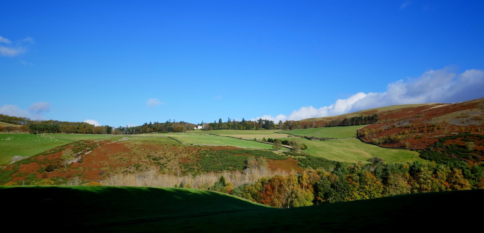 best part of the day: Tweed Valley Ultra Recce and Oct TB