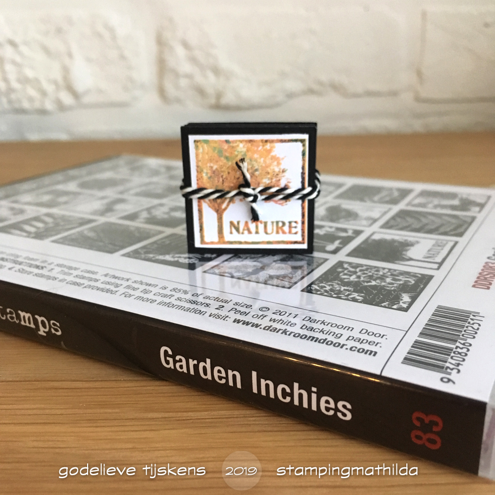 StampingMathilda: Mini Explosion Book