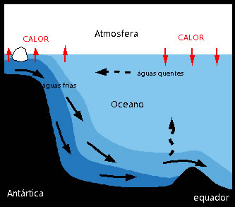 Bate-papo com Netuno: Circulação Termohalina