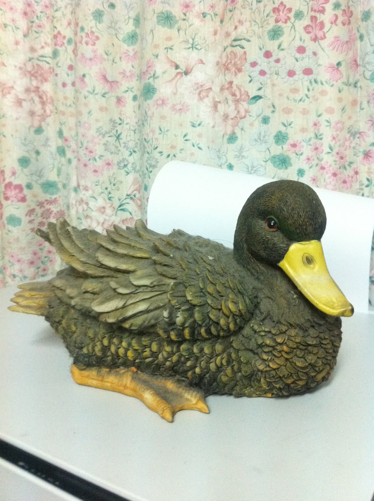 My Duck Collection: More ducks from my rack