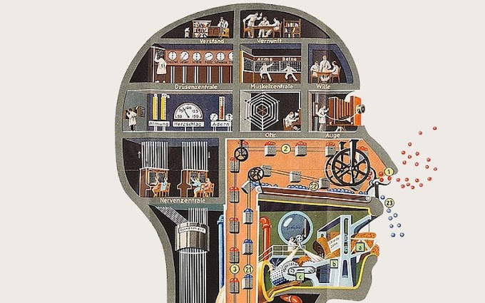 Mecanicismo e psicologia