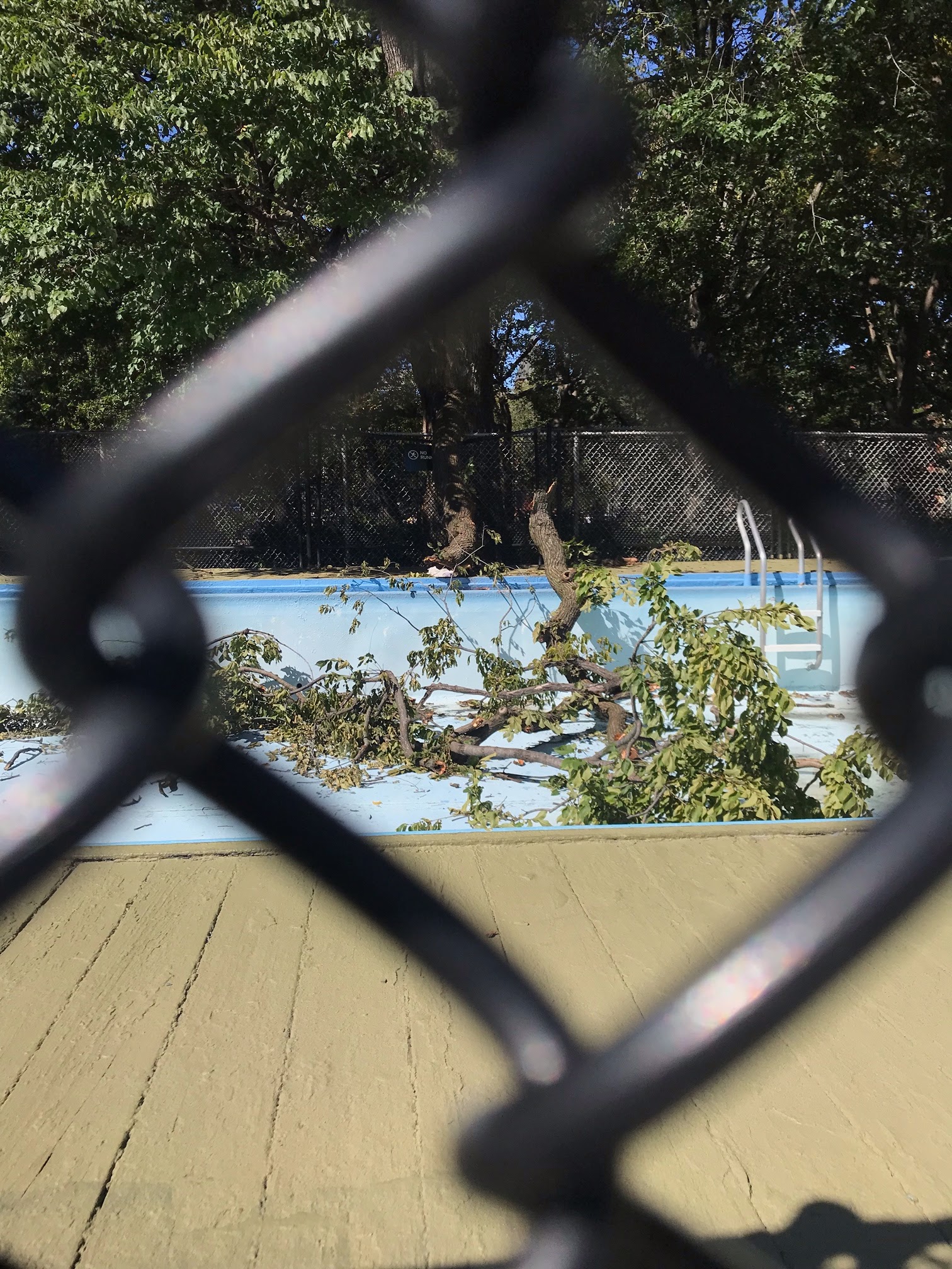 EV Grieve: Fall at the Tompkins Square Park mini pool