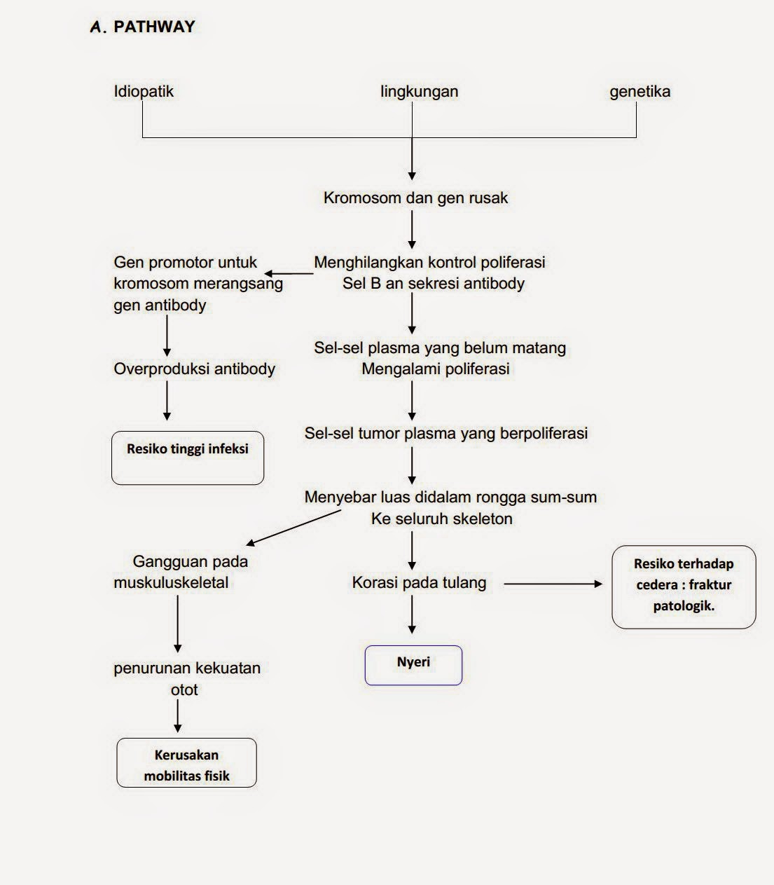Pathwey MULTIPLE MYELOMA | Blog Kesehatan