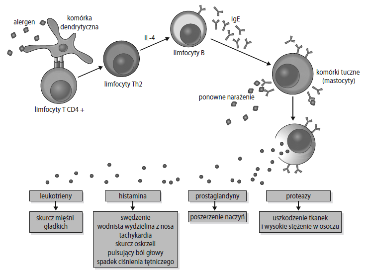 Alergeny w żywności - HEALTHY FIT PLACE