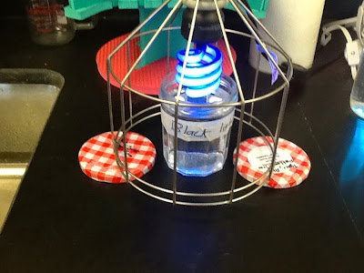 Burlington Public Schools Blog: Day 26 - Brine Shrimp Lab Project ...