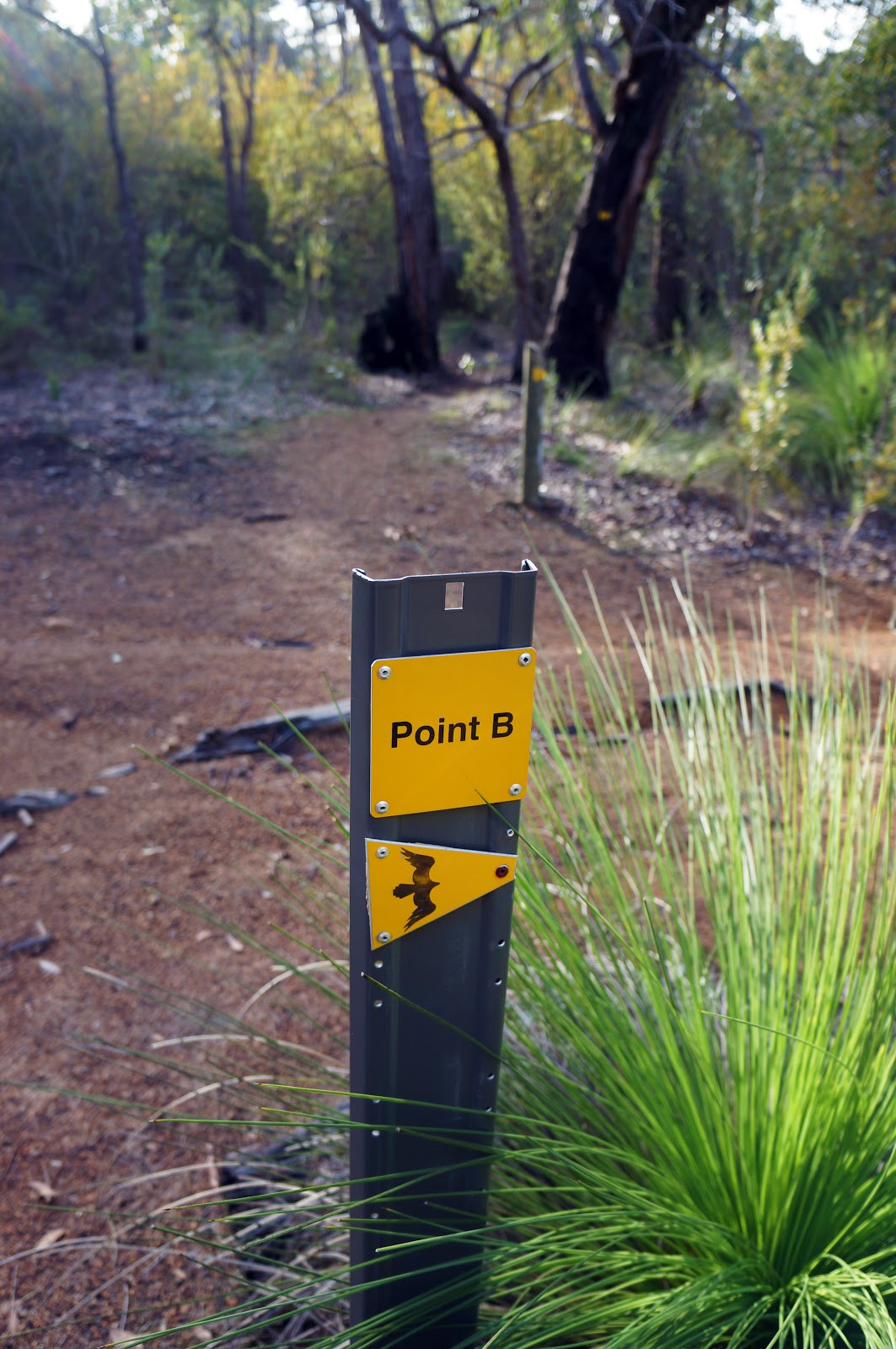 Eagle View Walk Trail (John Forrest National Park) ~ The Long Way's Better