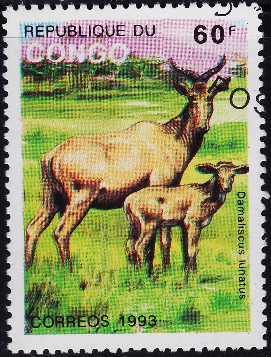 Heritage of Indian stamps site: Congo Republic stamps collection
