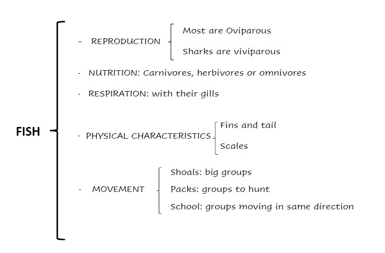 HG SCIENCE CORNER : FISH