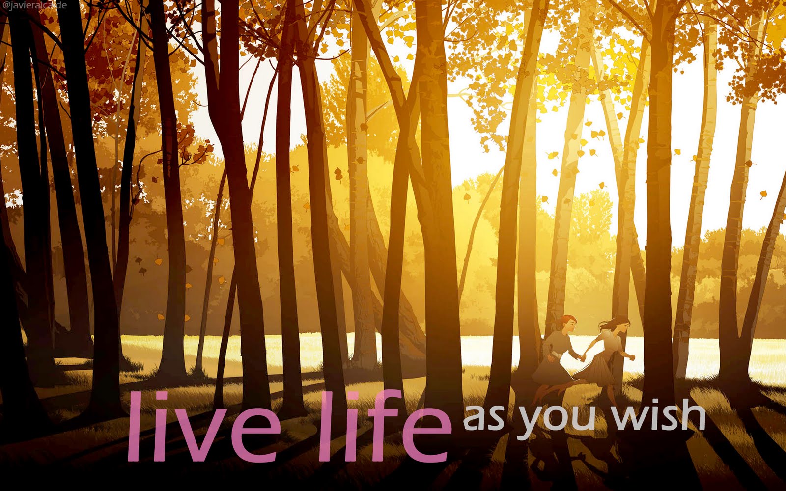 live life as you wish: what architecture can do is beyond imagination