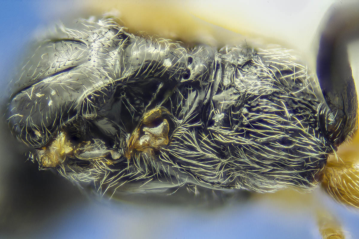 Utgångspunkt 63° 31,x' N - 22° 31,x' O: Ur silkestott. Del 2
