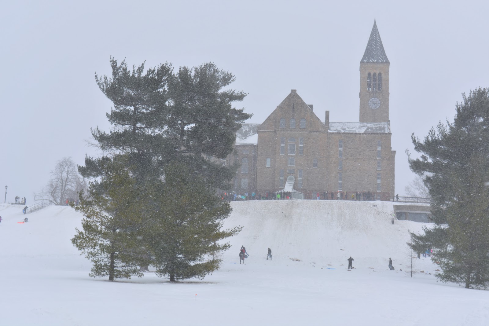 Cornell University Snow