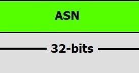ASN Label Switching Protocol (ALSP).