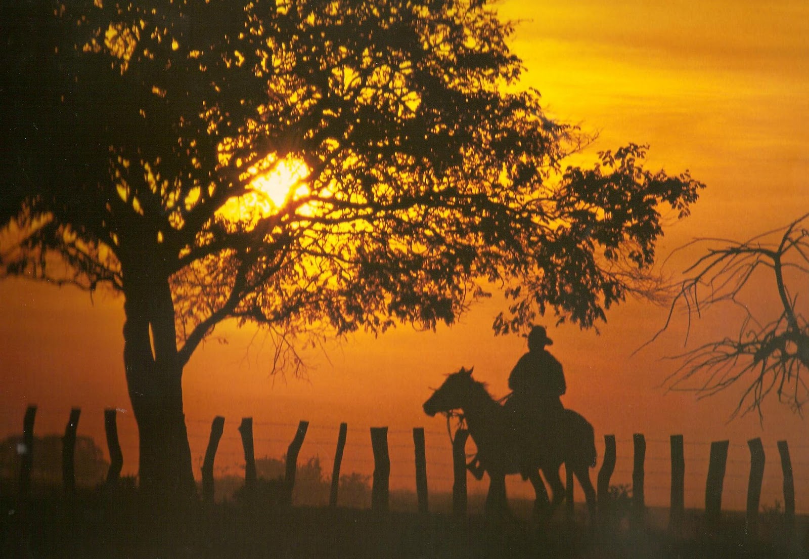 la columna de papel: UN LLANERO EN LA CAPITAL