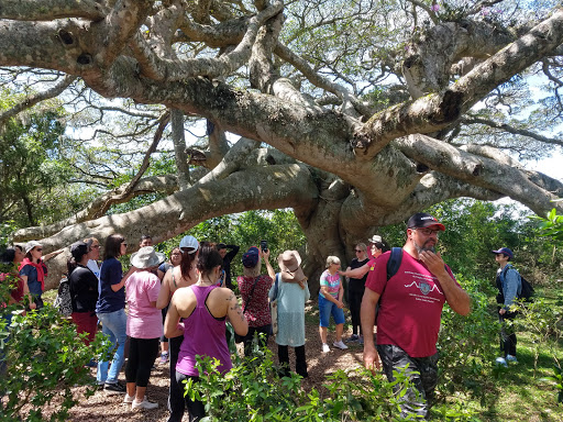 Profa.Msa. PathyGeo: RESERVA DO TAIM