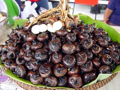 Water Chestnut - Fruits And Vegetables