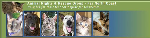 Give Animals a Voice: Animal Welfare Organisations In NSW