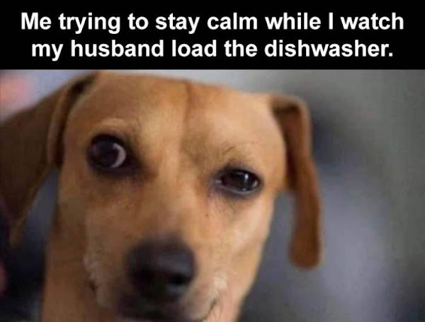 33 Memes Of The Best Trending Memes Vol.16