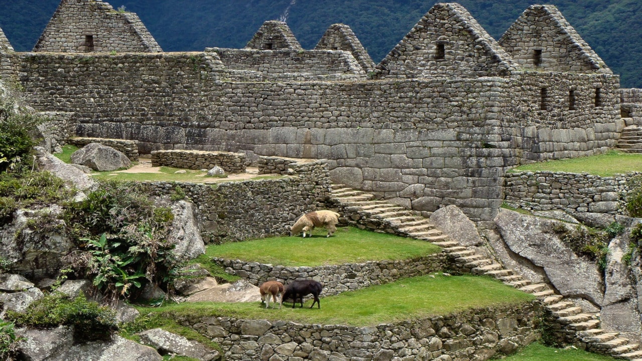 Arquitectura Inca | ¿En que consiste? Historia y Cultura 🥇