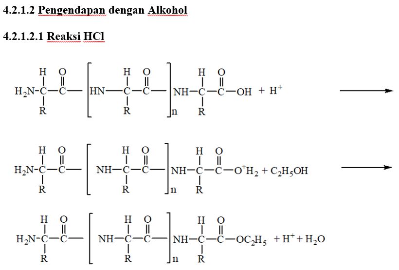 Work: Laporan Praktikum Biokimia Dasar: Reaksi Uji Protein dan Reaksi ...