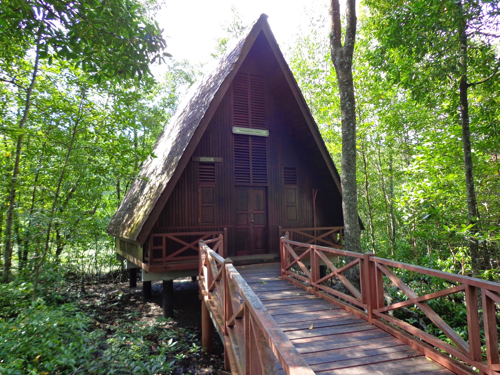 Matang Mangrove Forest, Kuala Sepetang, Perak | Solehah Shamsuddin