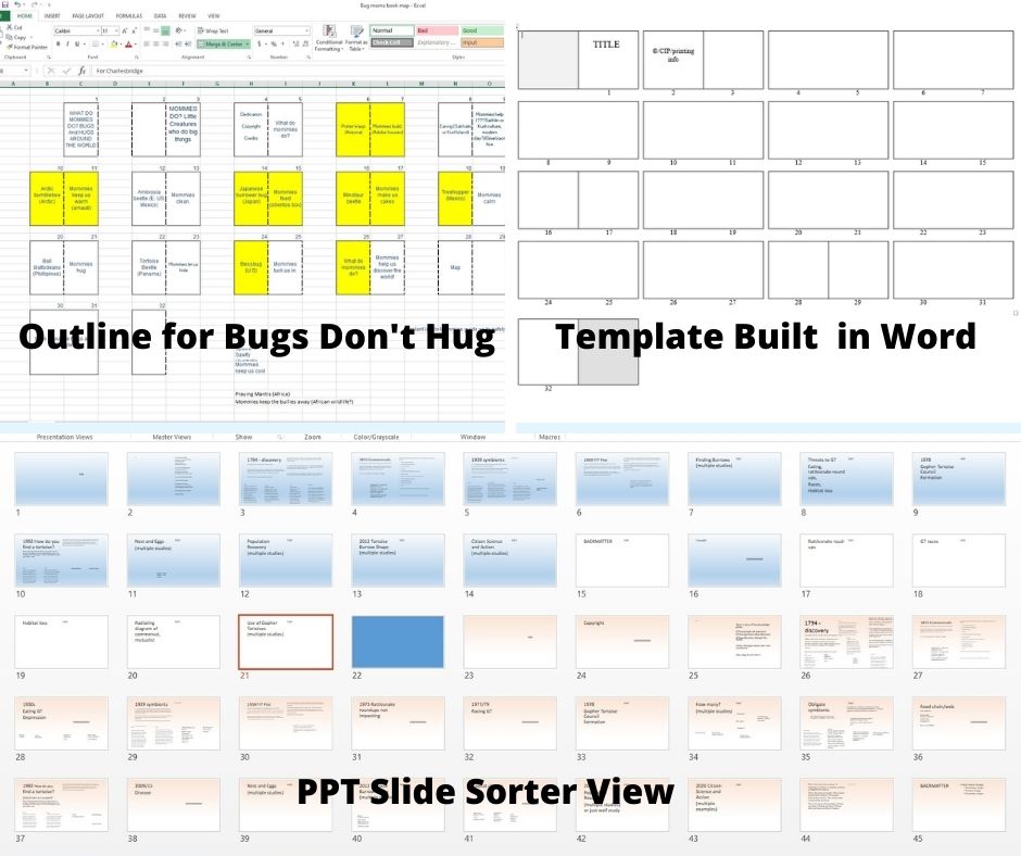 Nonfiction Fest: A Dummy’s Guide to Book Dummies