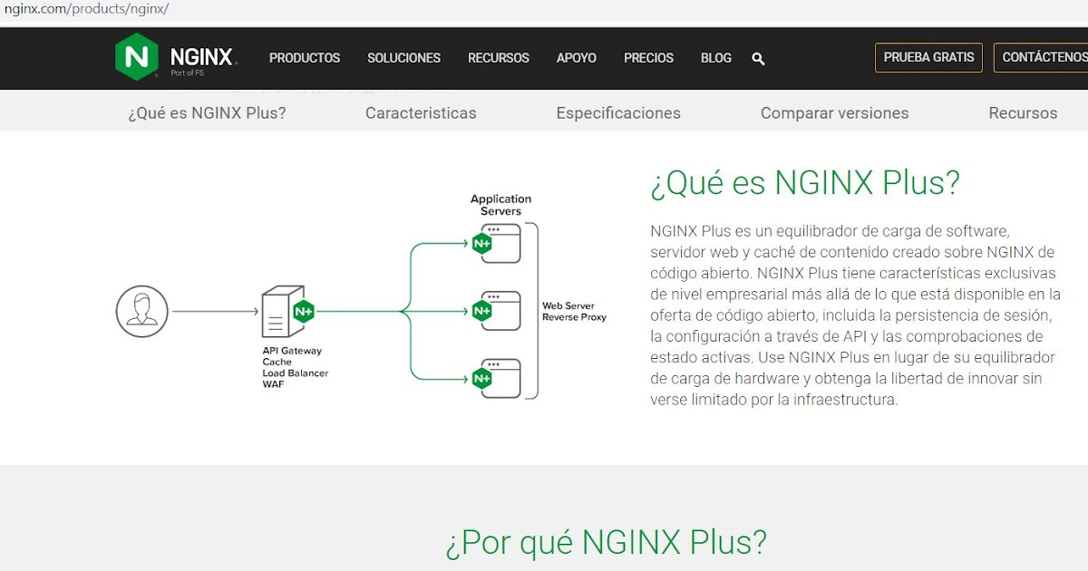 Informática y Docencia: NGINX servidor web/proxy