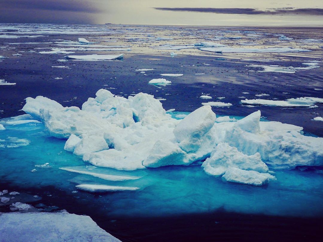 Последняя экспедиция капитана Джона Росса