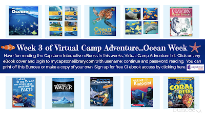 The Library Voice: Week 3 Of Virtual Camp Adventure Is Here!