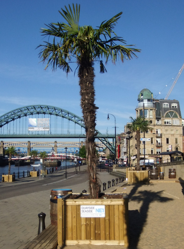 Photographs Of Newcastle: Quayside Seaside
