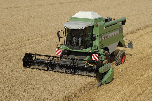 Forest Rebuilding: Fendt 5220 E