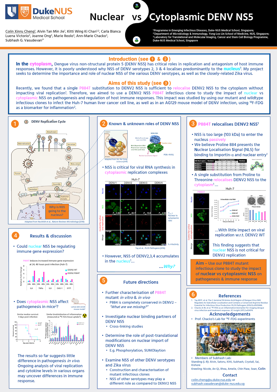 Better Posters: Critique: Nucleus versus cytoplasm