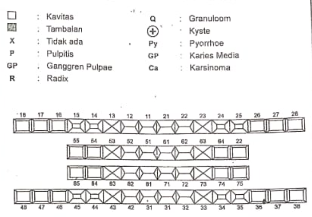 Odontrogram C# Part 1