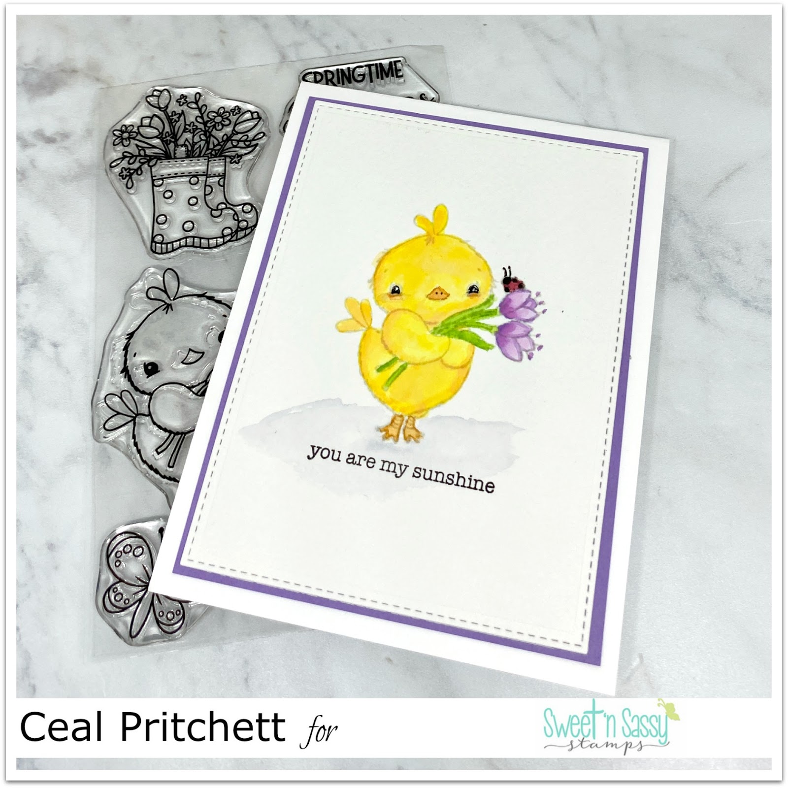 Simply Beautiful: Sweet 'n Sassy Stamps Feburary Release Bloghop