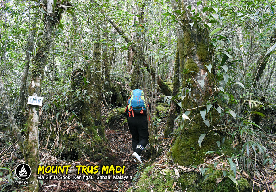 Mount Trusmadi (Via Sinua,Sook - Mannan Trail) - AAZ